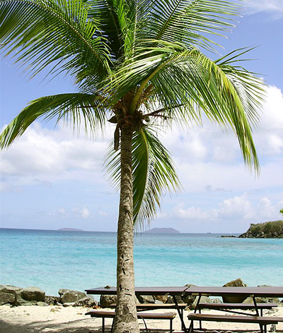 Picnic tables with fantastic waterfront views - awesome dining for families
