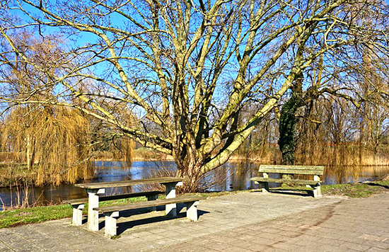 Picnic tables with fantastic waterfront views - awesome dining for families