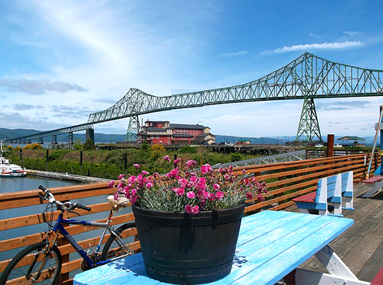 Picnic tables with fantastic waterfront views - awesome dining for families