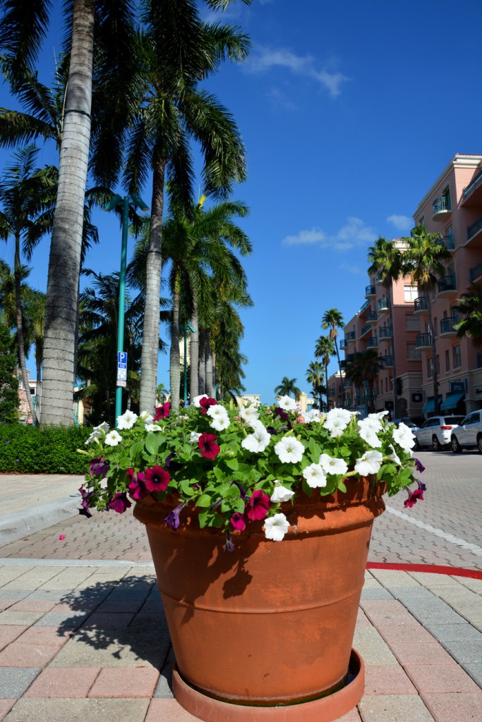 Buyer's Guide for Commercial Planters